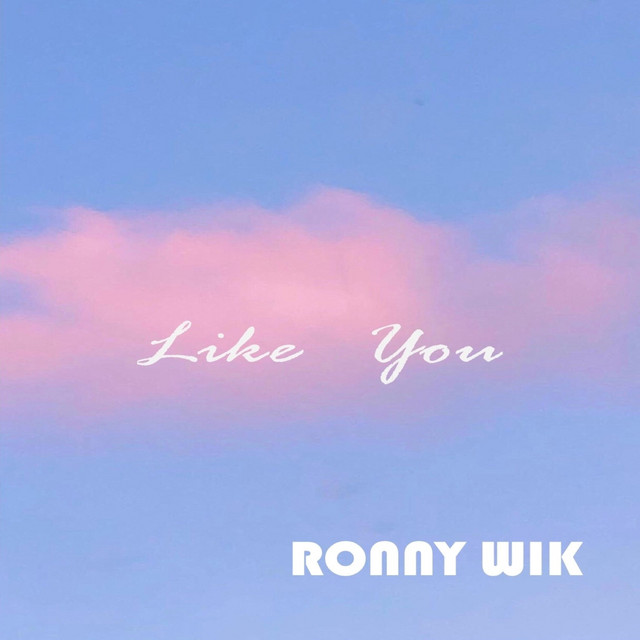 Like You - Single by Ronny Wik | Spotify