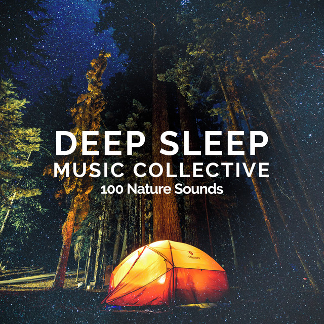 Deep Sleep Music Collective: 100 Nature Sounds - Album by Deep Sleep ...