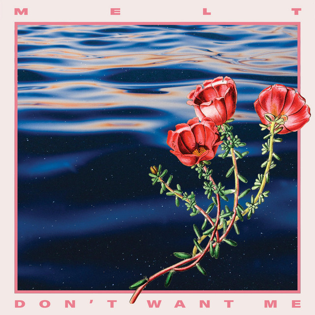 Don't Want Me - Single by Melt | Spotify