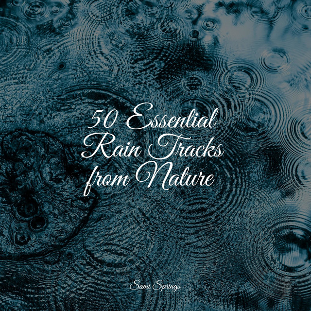 50 Essential Rain Tracks from Nature - Album by Ready Baby Music! | Spotify