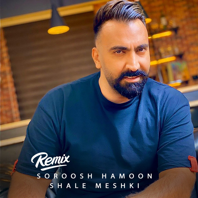 Shale Meshki (DJ Ebo Remix) - Single by Soroosh Hamoon | Spotify