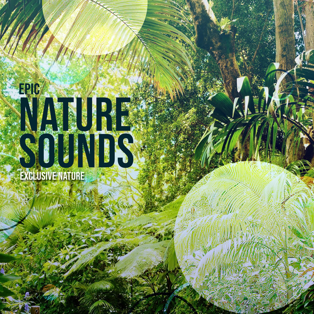 Epic Nature Sounds - Album by Exclusive Nature | Spotify