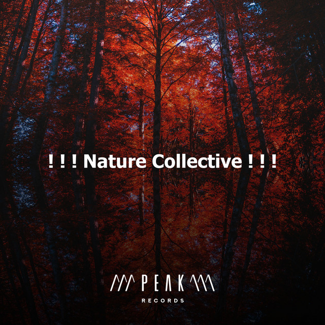 Nature Collective ! ! ! - Album by 4D Nature Recordings | Spotify