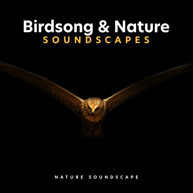 Birdsong & Nature Soundscapes - Album by Nature Soundscape | Spotify