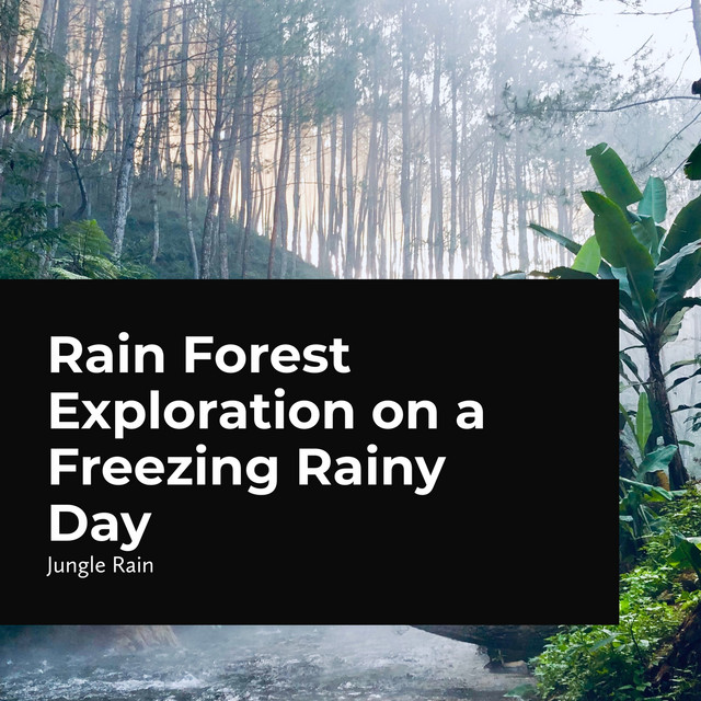 Rain Forest Exploration on a Freezing Rainy Day - Album by Nature and ...