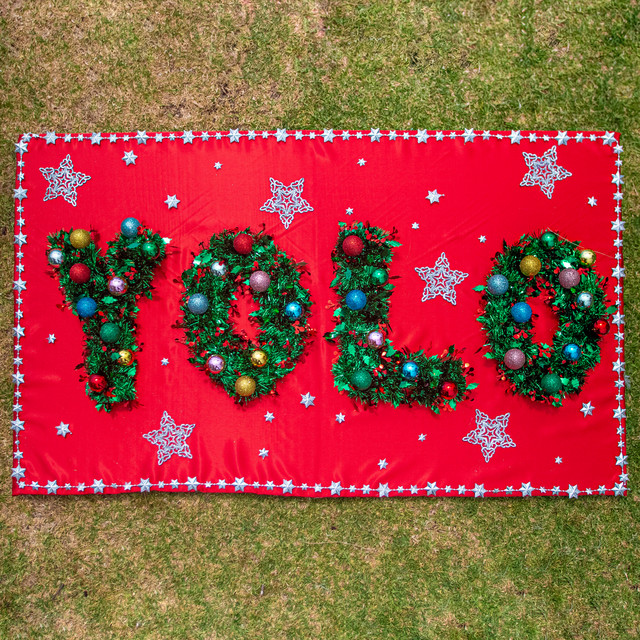 Christmas YOLO - Single by Little Miss Squeezebox | Spotify