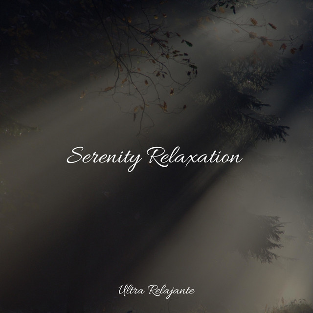Serenity Relaxation - Album by Deep Sleep Music Academy | Spotify