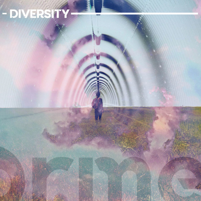 Diversity - Compilation by Various Artists | Spotify