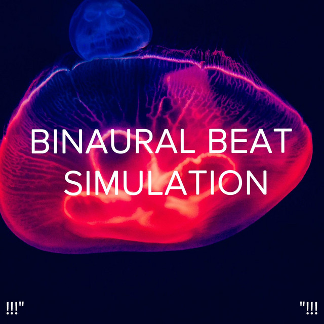 Binaural beat simulation "!!! - Album by Deep Sleep Music Collective ...
