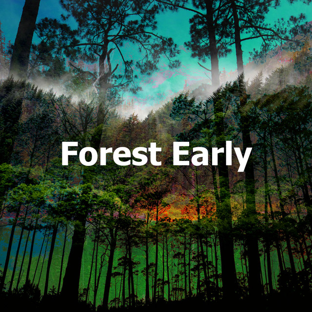 Alive Forest - song and lyrics by Forest Sounds | Spotify