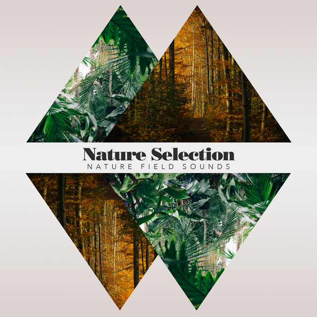 Nature Selection - Album by Nature Field Sounds | Spotify