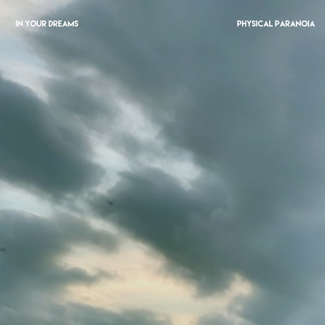 in your dreams - Single by Physical Paranoia | Spotify