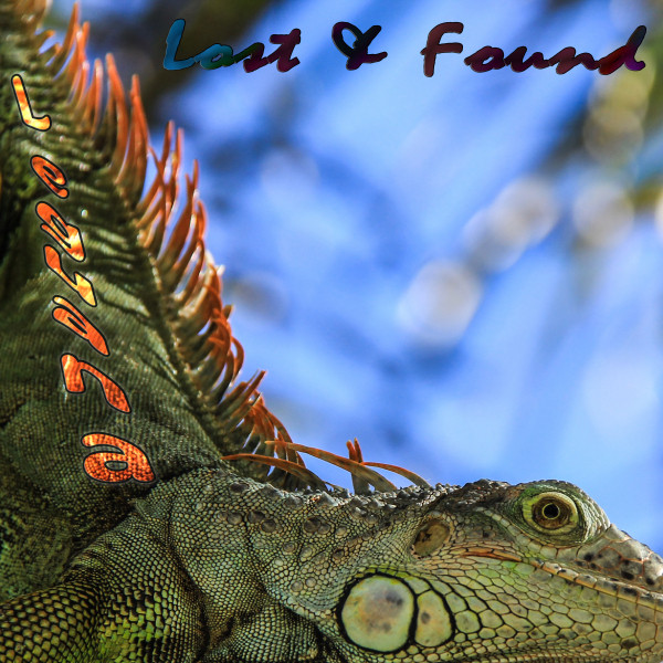 Lost & Found - Album by Leguana | Spotify