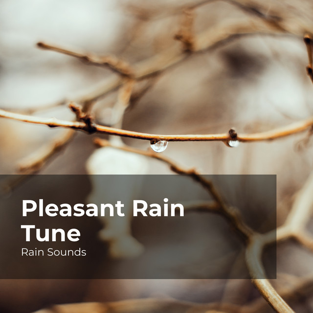 Pleasant Rain Tune - Album by Rain Storm Sample Library | Spotify