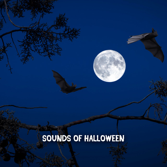 Sounds Of Halloween ‑「Album」by Spooky Halloween Sounds | Spotify