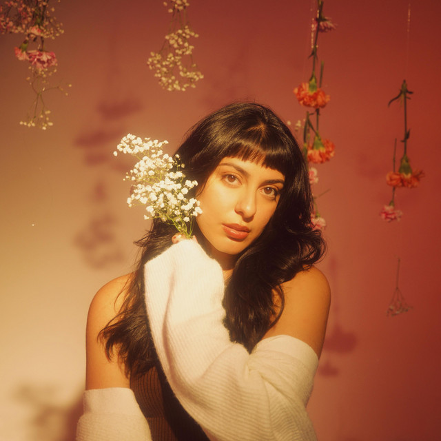 ANI D | Spotify