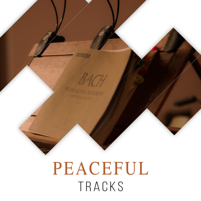 Peaceful Tracks - Compilation by Various Artists | Spotify