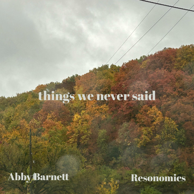 Things We Never Said - Single by Abby Barnett | Spotify