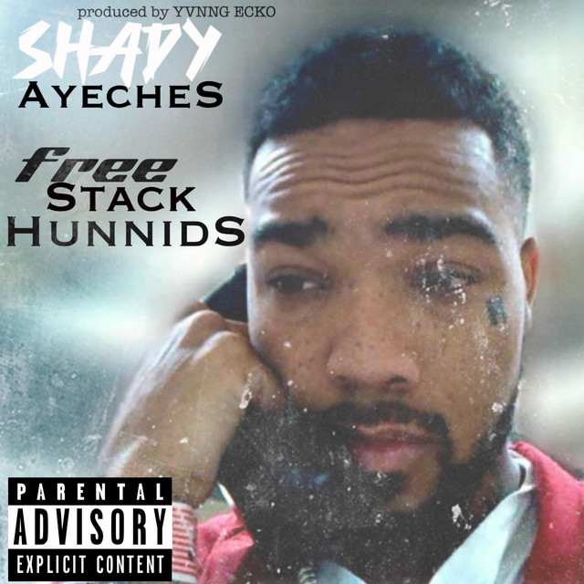 Shady Ayeches | Spotify