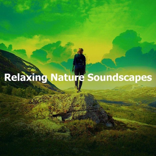 Relaxing Nature Soundscapes - Album by Epic Soundscapes | Spotify