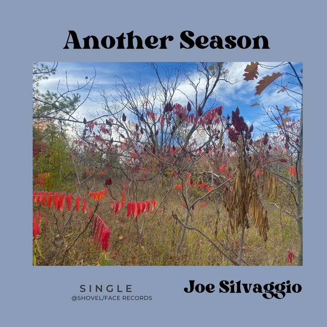 Another Season - song and lyrics by Joe Silvaggio | Spotify
