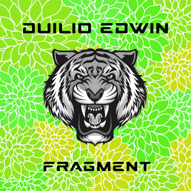 Fragment - Original mix - song and lyrics by Duilio Edwin | Spotify