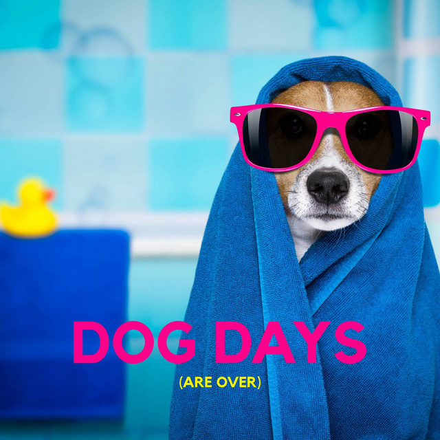 Dog Grooming Music - song and lyrics by Pet Therapy | Spotify