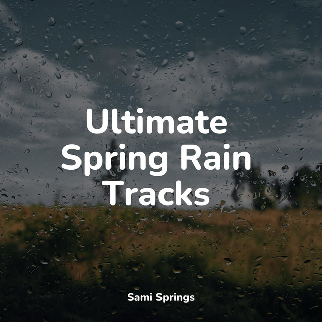 Ultimate Spring Rain Tracks - Album by Nature Sounds for Sleep and ...