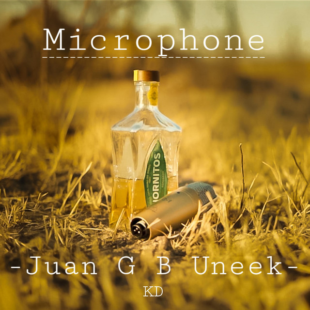Microphone - Single by Frontline Family | Spotify