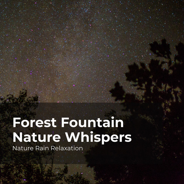 Forest Fountain Nature Whispers - Album by Nature Rain Relaxation | Spotify