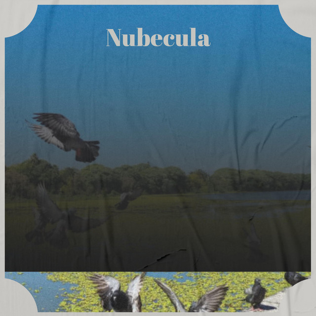 Nubecula - Compilation de Varios Artistas | Spotify