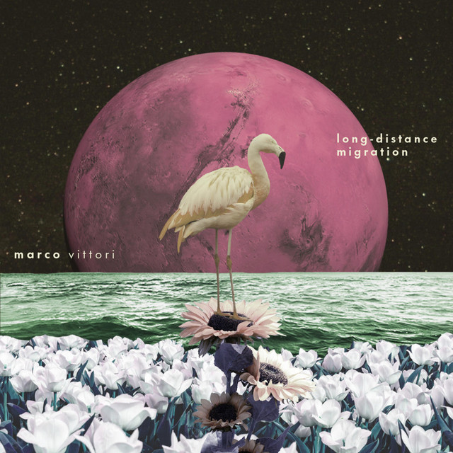 long-distance migration - Album by Marco Vittori | Spotify