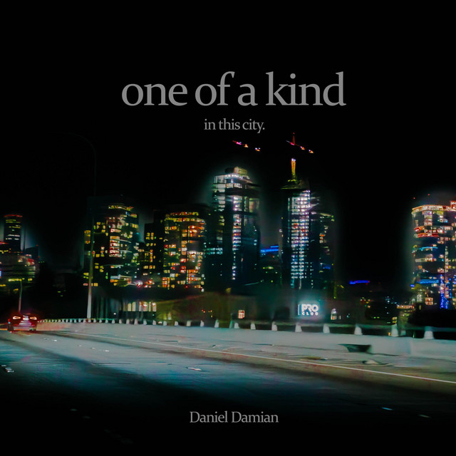 one of a kind. - Single by Daniel Damian | Spotify