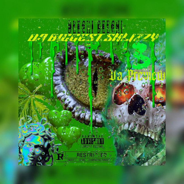 Da Biggest Shlizzy 3: Da Preview - Album by Deechi Deechi | Spotify