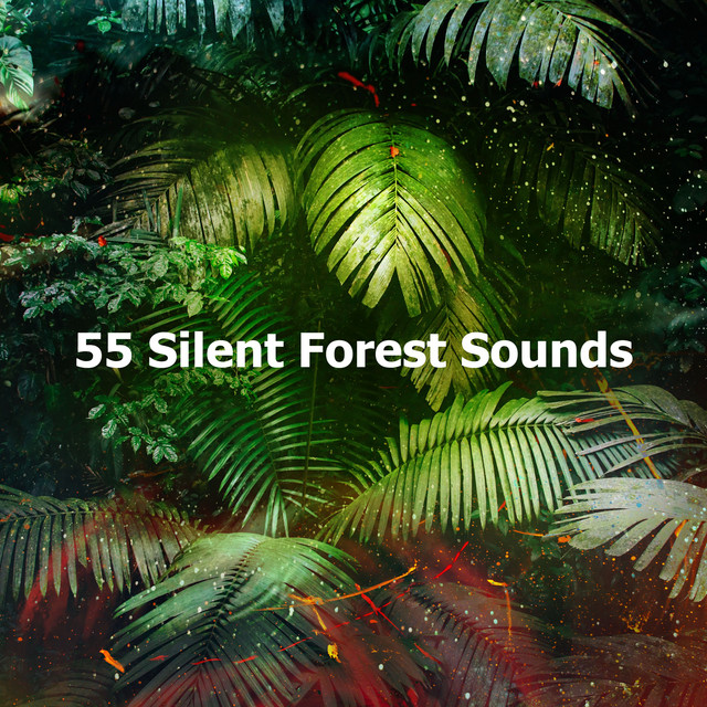 Birds In The Willow - song and lyrics by Calming Rainforest Sounds ...