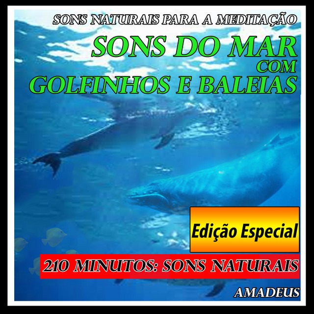 Sons Naturais para a Meditação: Sons do Mar Com Golfinhos e Baleias ...