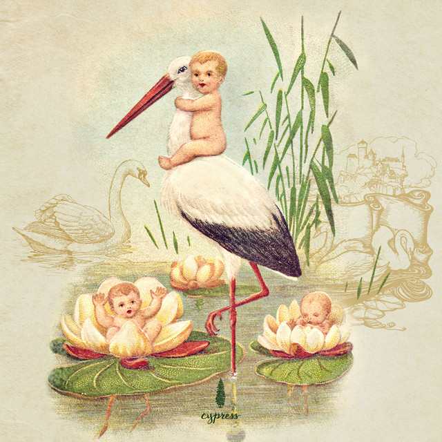 Aloha Oe (Hawaiian Folksong) - song and lyrics by Cypress | Spotify