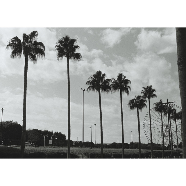 2024年夏の現状報告 - Single by crawl in cruel | Spotify