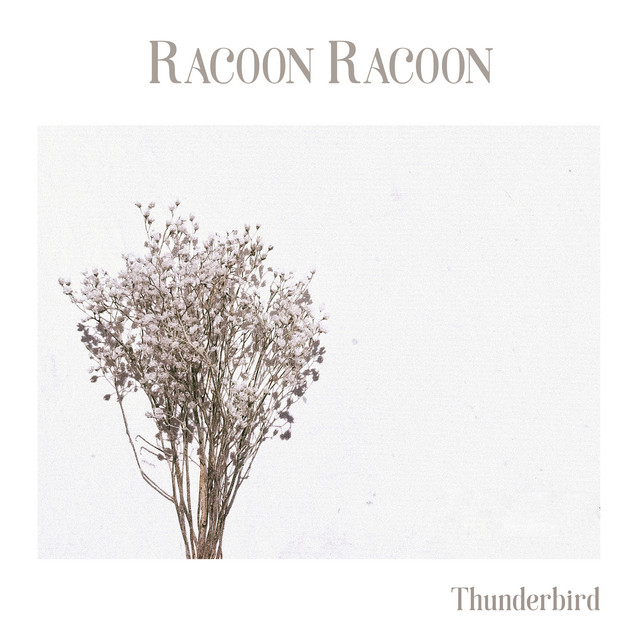Thunderbird - Single by Racoon Racoon | Spotify