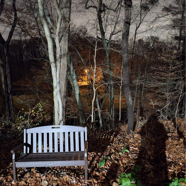 Silent Longing - song and lyrics by Anthony John Passante-Contaldi ...