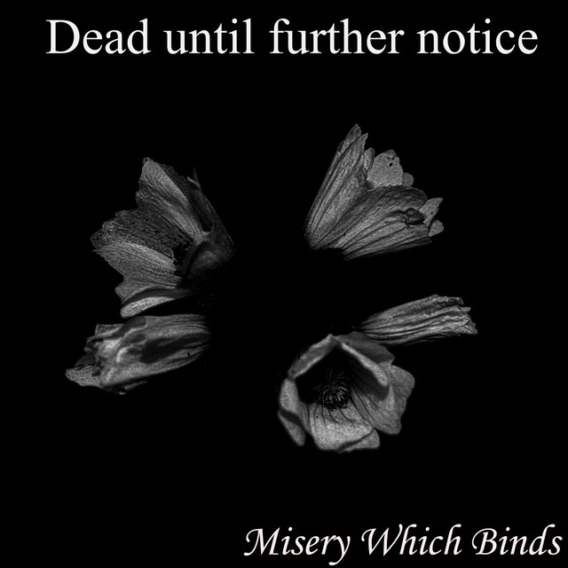 Misery Which Binds - Album by Dead Until Further Notice | Spotify
