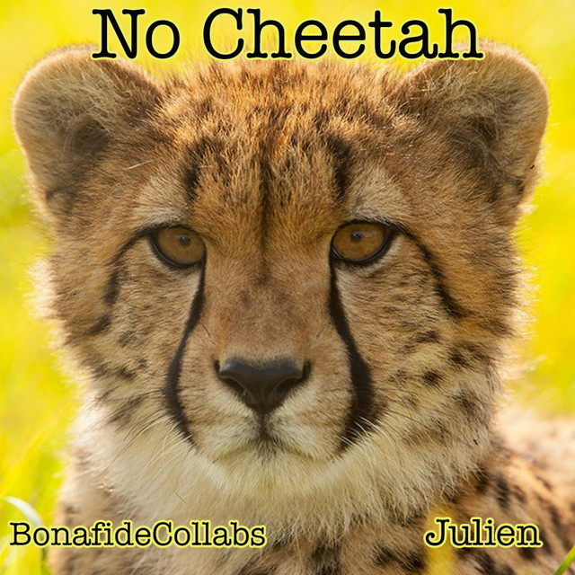 No Cheetah - song and lyrics by BonafideCollabs, Julien | Spotify