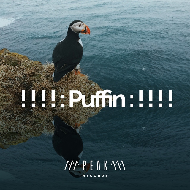 Puffin : ! ! ! ! - Album by Ocean Sounds | Spotify