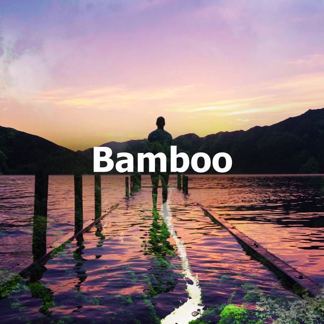 Bamboo - Album by The Relaxing Sounds of Water | Spotify
