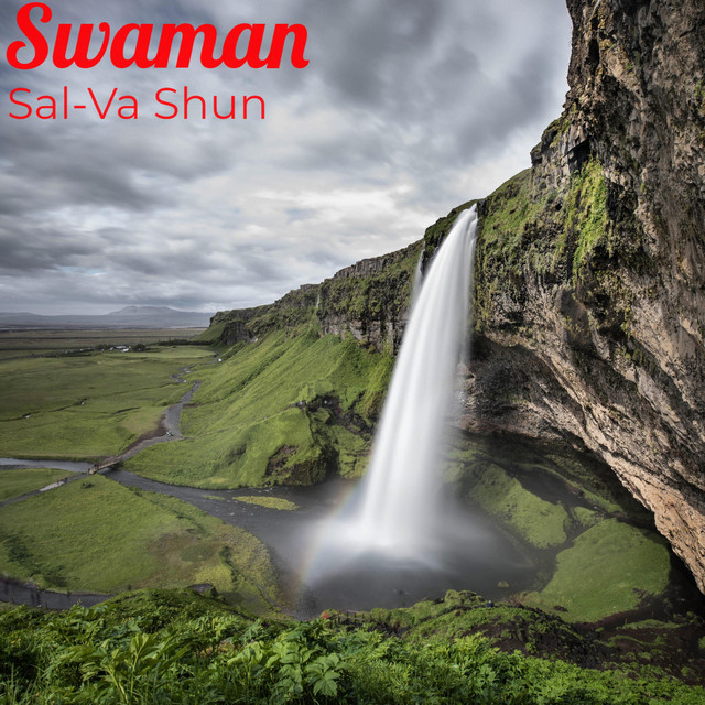 Swaman - Single by Sal-Va Shun | Spotify