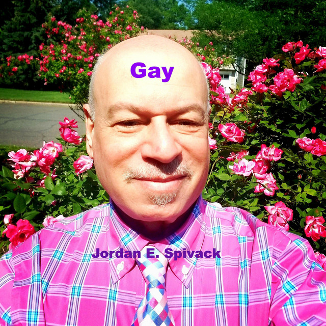 Gay - Single by Jordan E. Spivack | Spotify