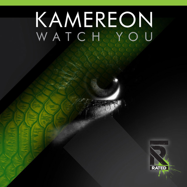 Watch You - Single by Kamereon | Spotify