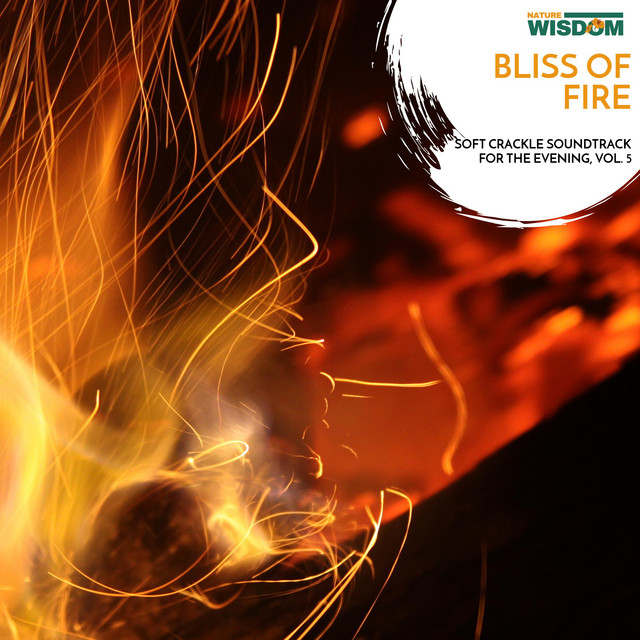 Lets Fire Tonight - song and lyrics by Ocean Flames 9D Fire Sounds ...