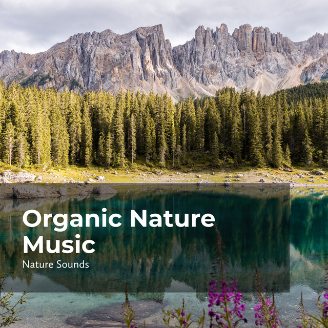 Organic Nature Music - Album by Sleep Sounds of Nature | Spotify
