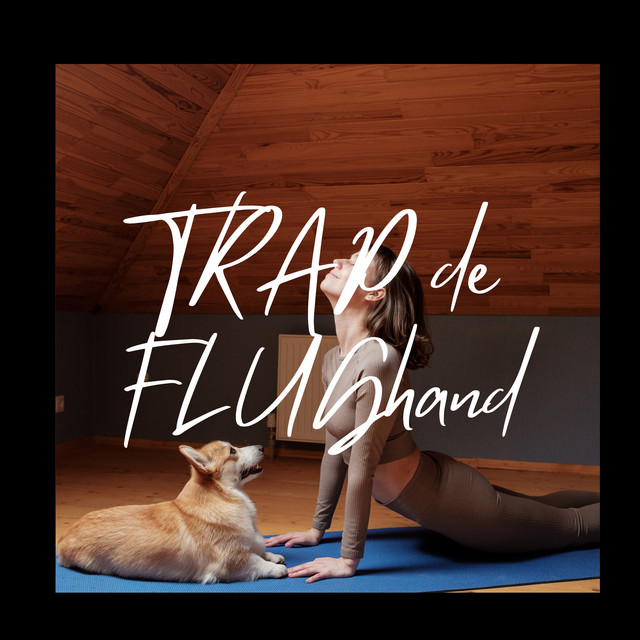Trap De Flughand: Songs list, genres, analysis and similar artists - Chosic